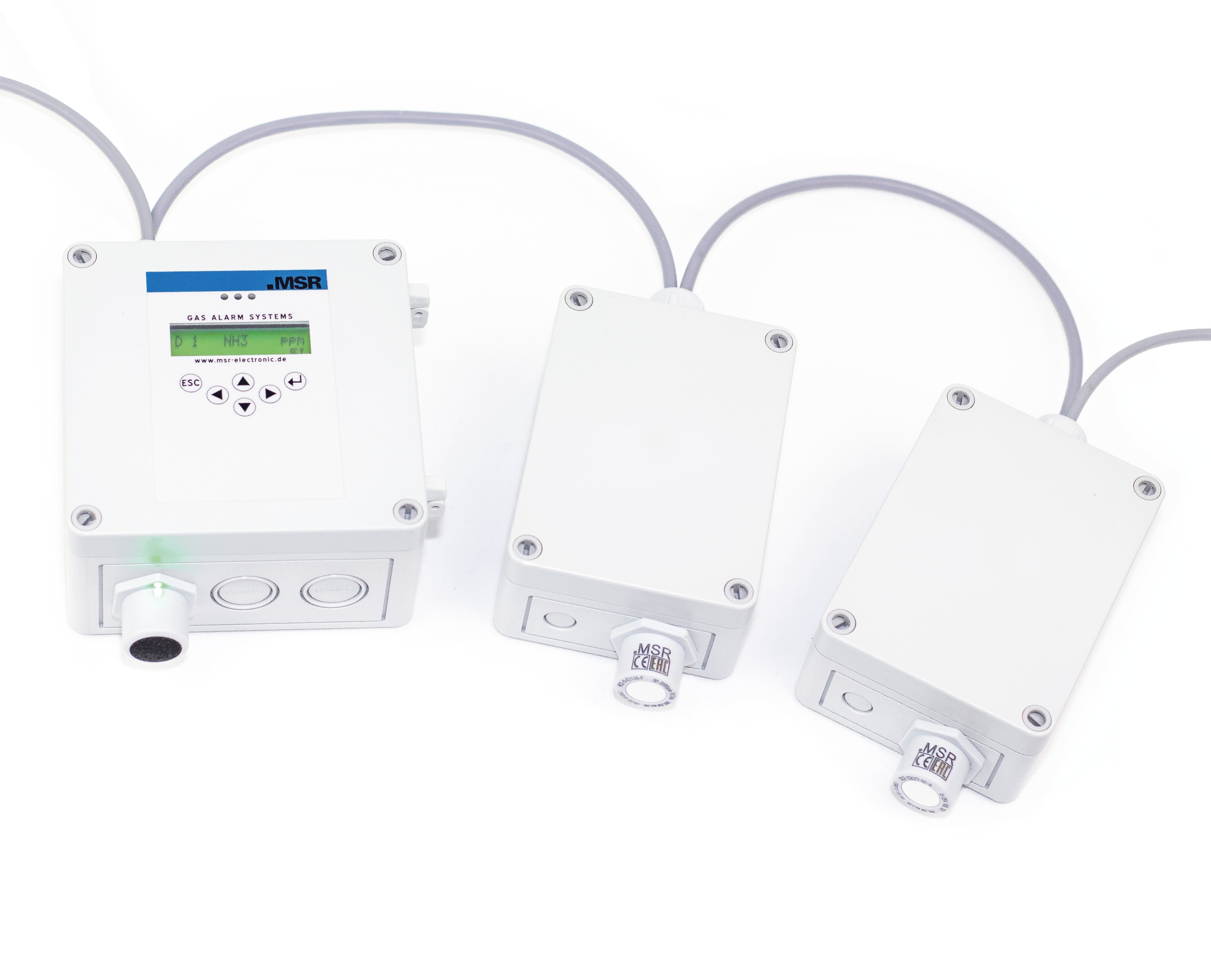 Compact Controller for Small Gas Detection Systems from MSR-Electronic